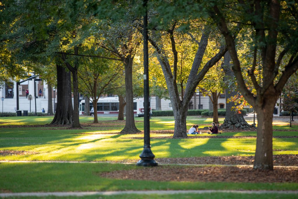 Youth Services Institute (YSI) – YSI | The University of Alabama